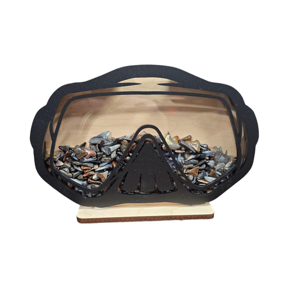 Shark Teeth Shadow Box "scuba" for Shark Teeth, Sea Glass, Seashells ...