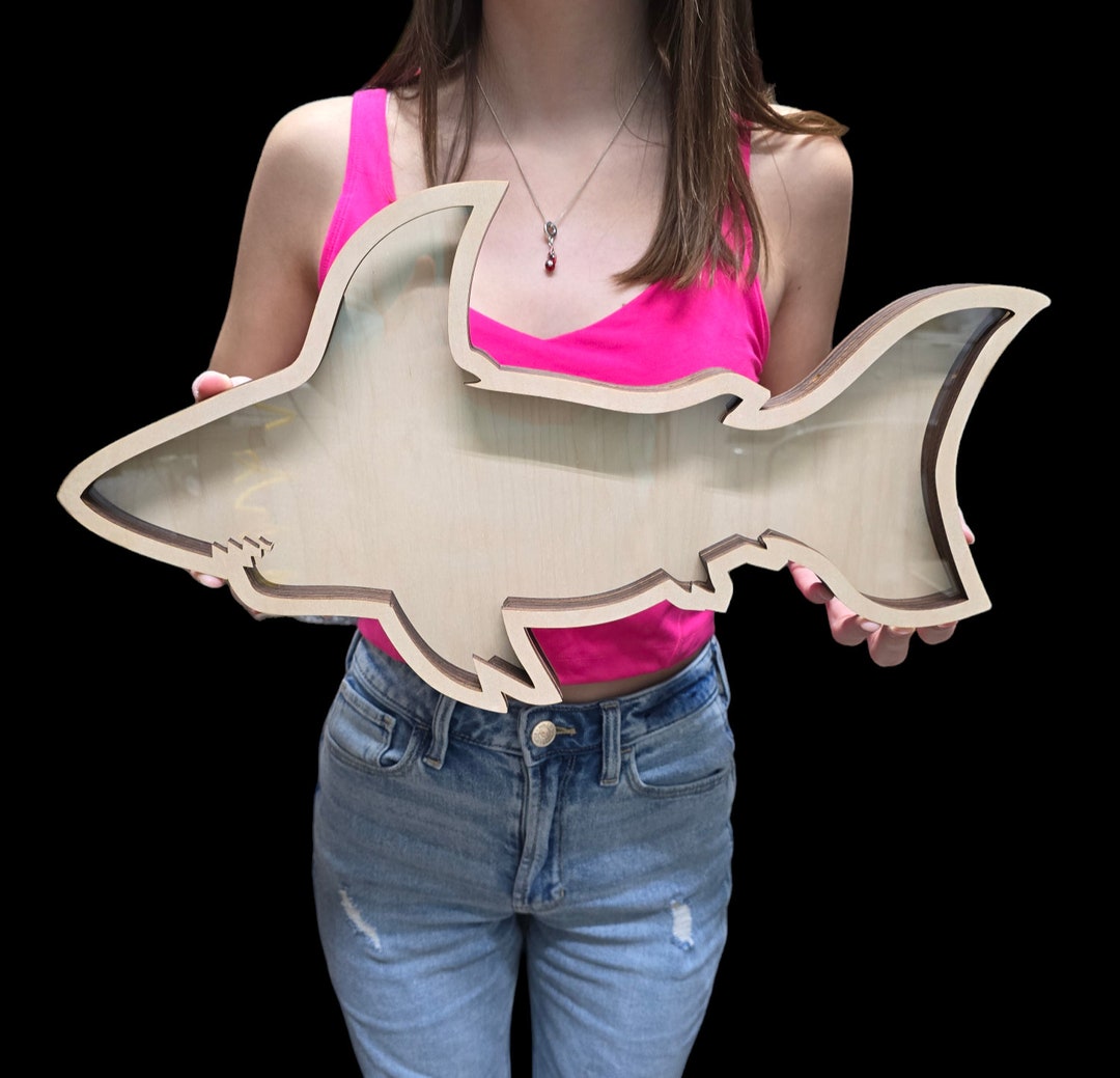 Shark Teeth Shadow Box XL Wall Hanger for Shark Teeth, Beach Glass ...
