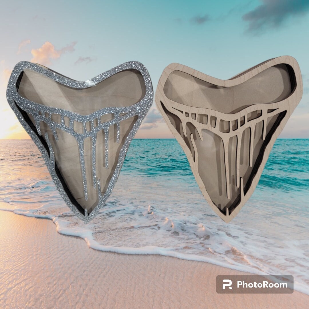 MEGALODON Shark Tooth Shadow Box SMALL Wall Hanger Shark Teeth Display ...