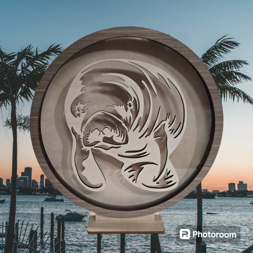 Manatee Shadow Box LARGE SIZE! (sea Cow) Perfect for Your Shark Teeth ...