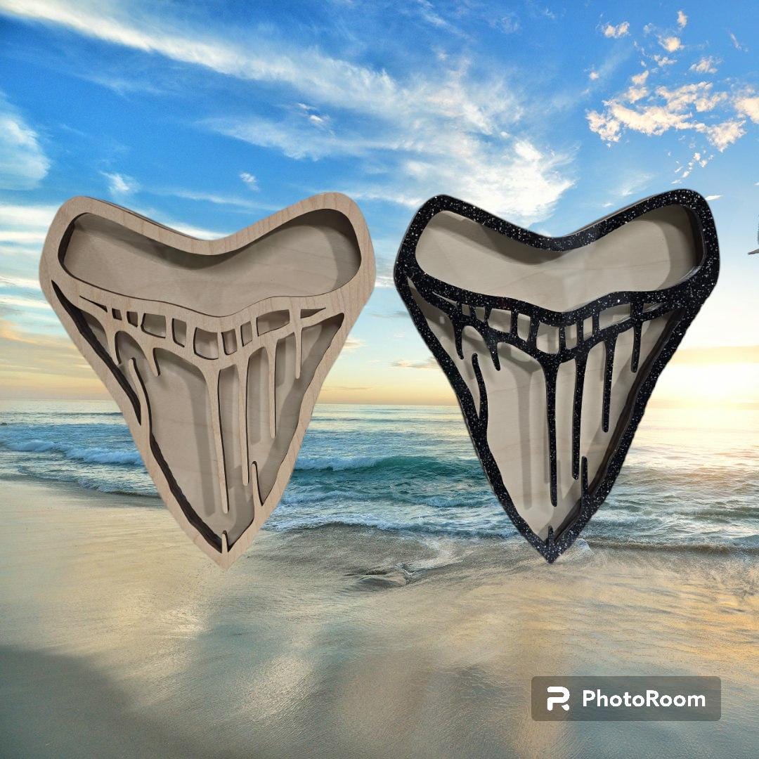 Megalodon Shark Tooth Shadow Box: Shark Teeth Display Wood or Black ...