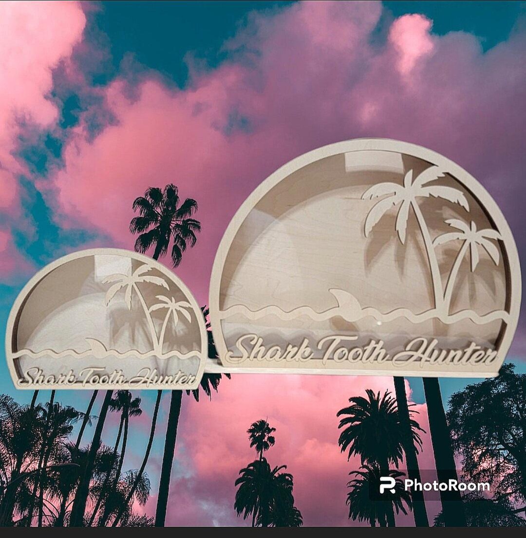 Shark Tooth Hunter Display Box Shark Teeth, Fossils, Diving, We ...