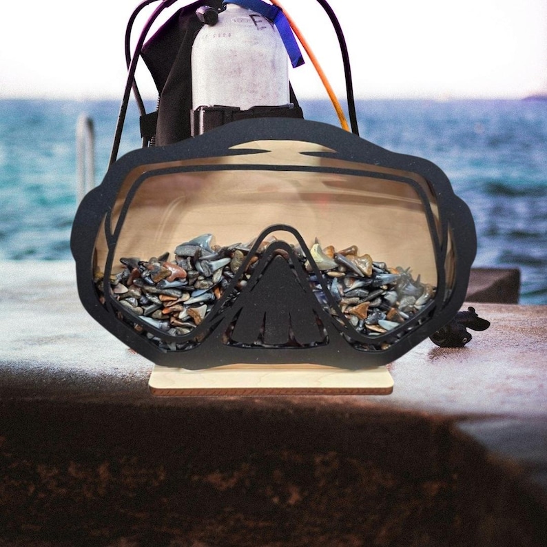 Scuba Sea Glass Shadow Box: Shark Teeth | Seashells | Coastal Decor ...