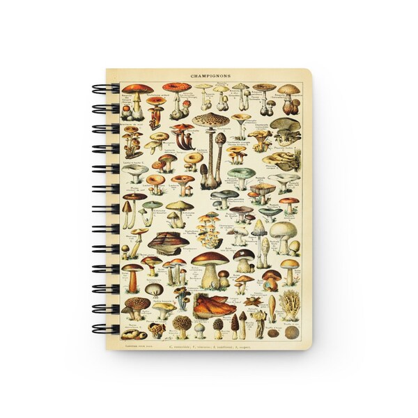 Le Chat Noir Boutique: Dilbert Let Me Drop Everything And Work On Your