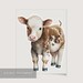 Farm Animals Bulletin Board Kit, Farm Decor Cows Bulletin Board Modern ...