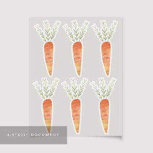 Bunny Bulletin Board Kit, Easter Bulletin Board Kit | Spring Classroom ...