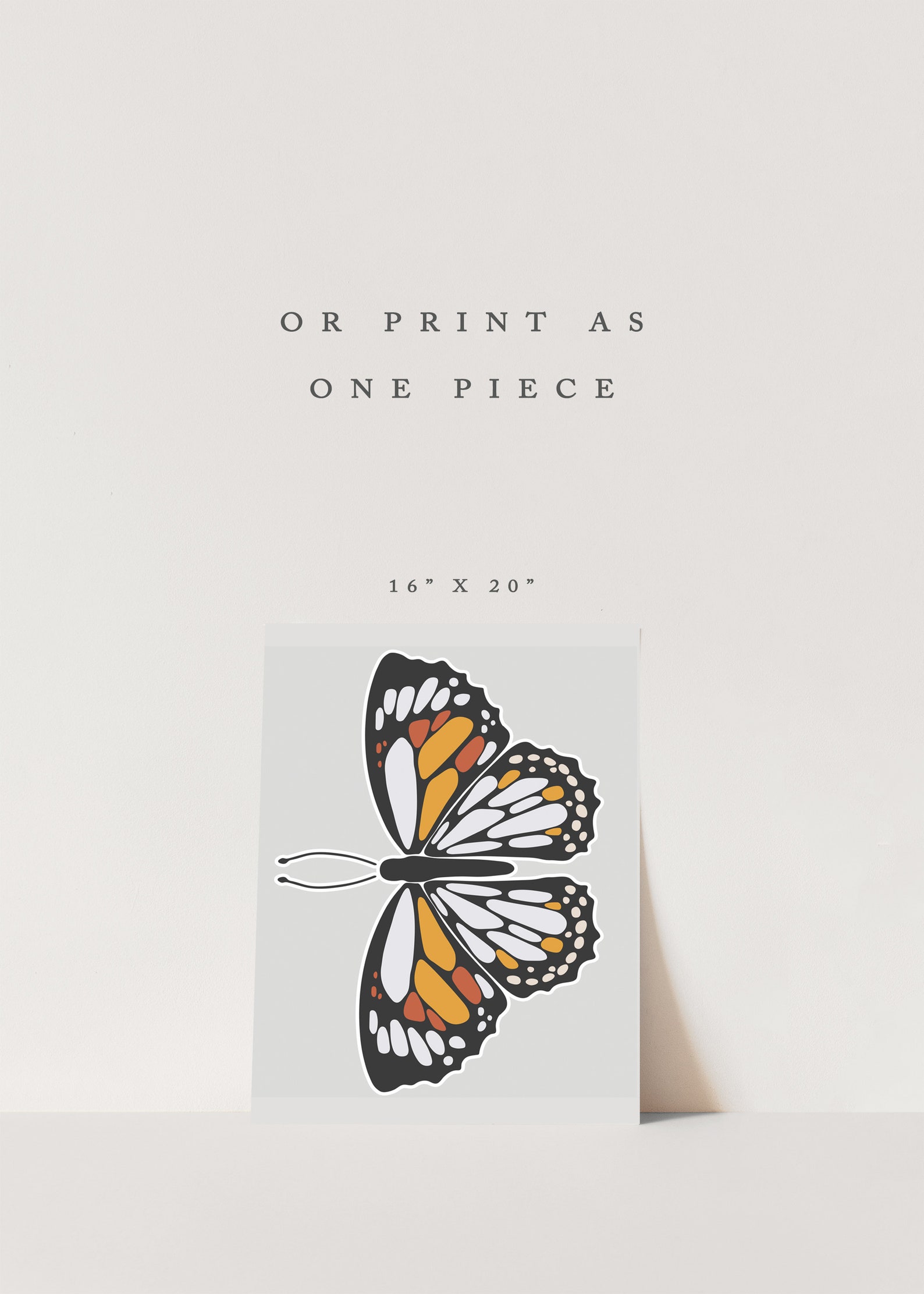 Butterfly Bulletin Board Kit Retro Classroom Decor - Etsy