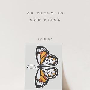 Butterfly Bulletin Board Kit, Retro Classroom Decor | Wildflower ...