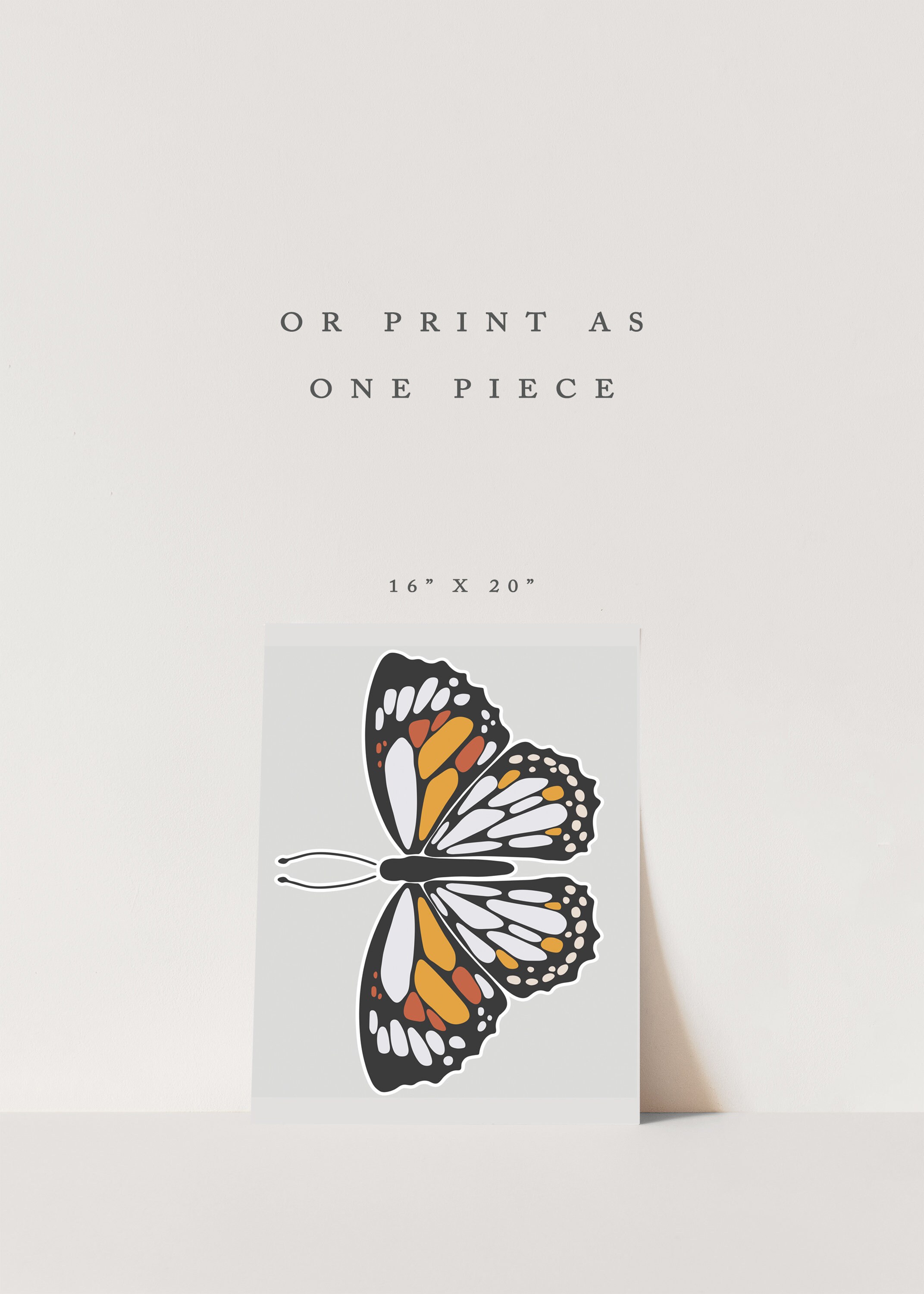 Butterfly Bulletin Board Kit Retro Classroom Decor - Etsy