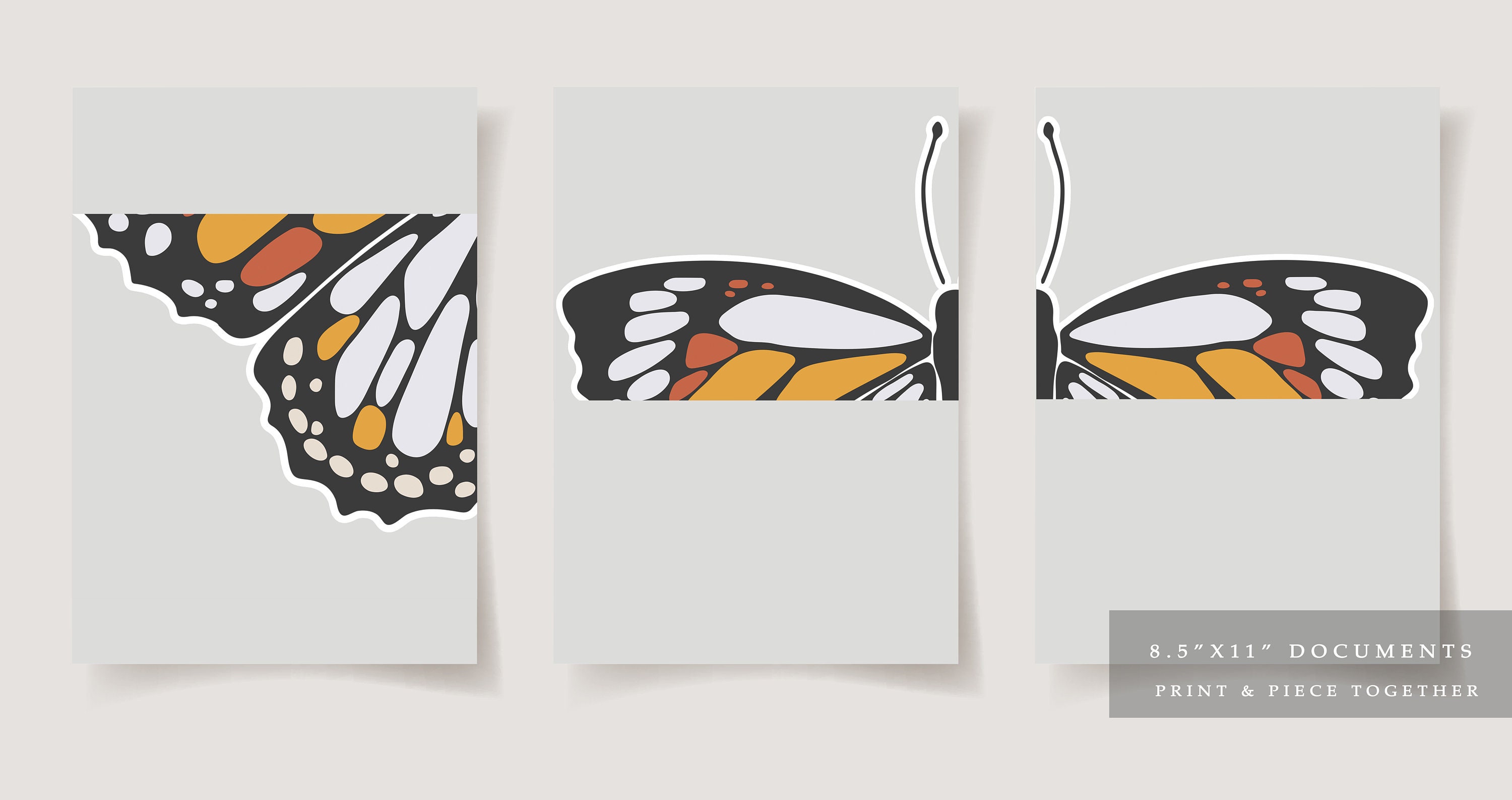 Butterfly Bulletin Board Kit Retro Classroom Decor - Etsy