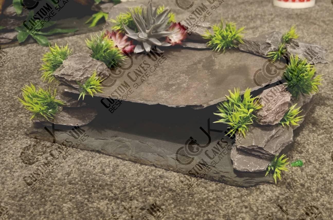 Leopard Gecko Slate Hide With Basking Platform Prefect for - Etsy UK