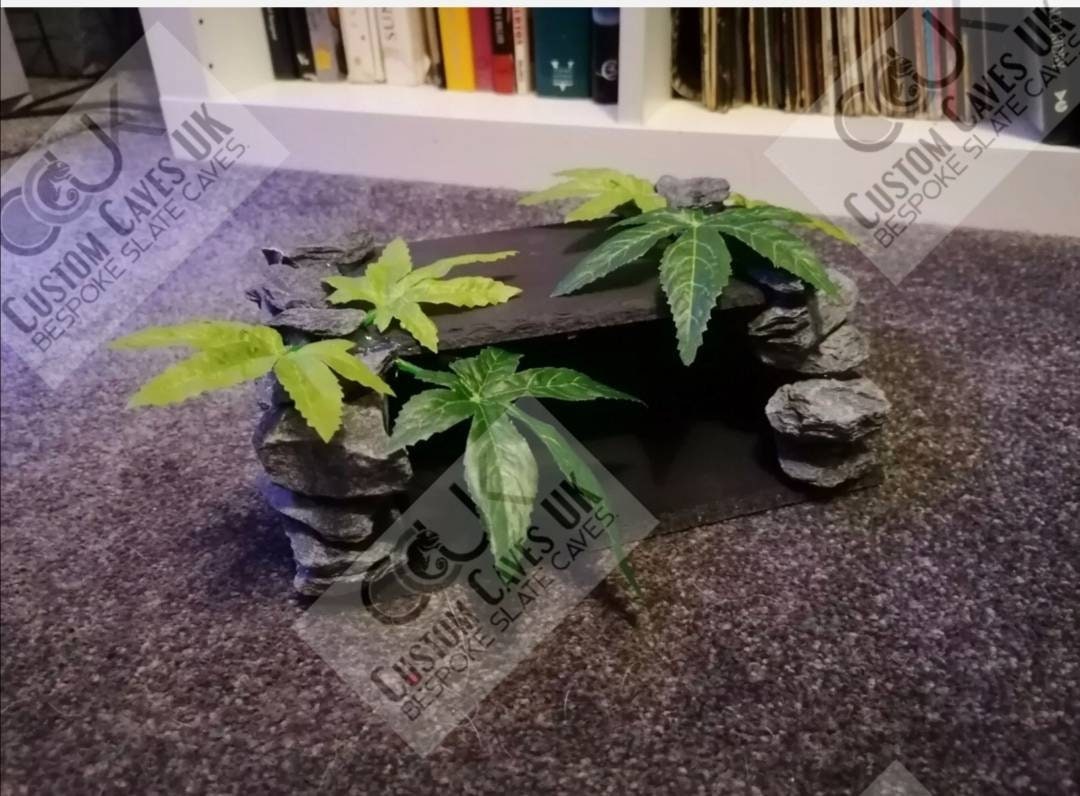 Handmade Natural Slate Reptile Hide, Ideal for Leopard Geckos and Other ... Handmade Natural Slate Reptile Hide, Ideal for Leopard Geckos and Other ...
