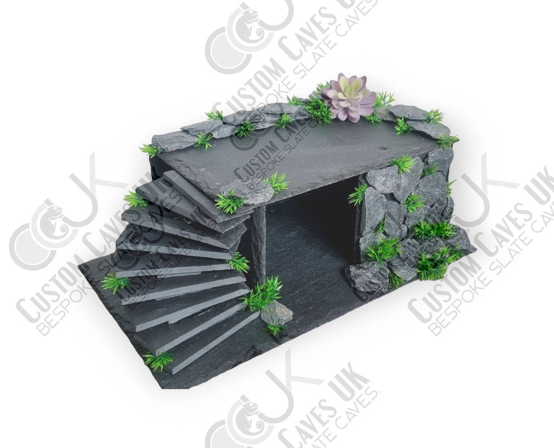 Beautiful Bearded Dragon, Gecko Slate Hide, Basking Slab and Hide - Etsy