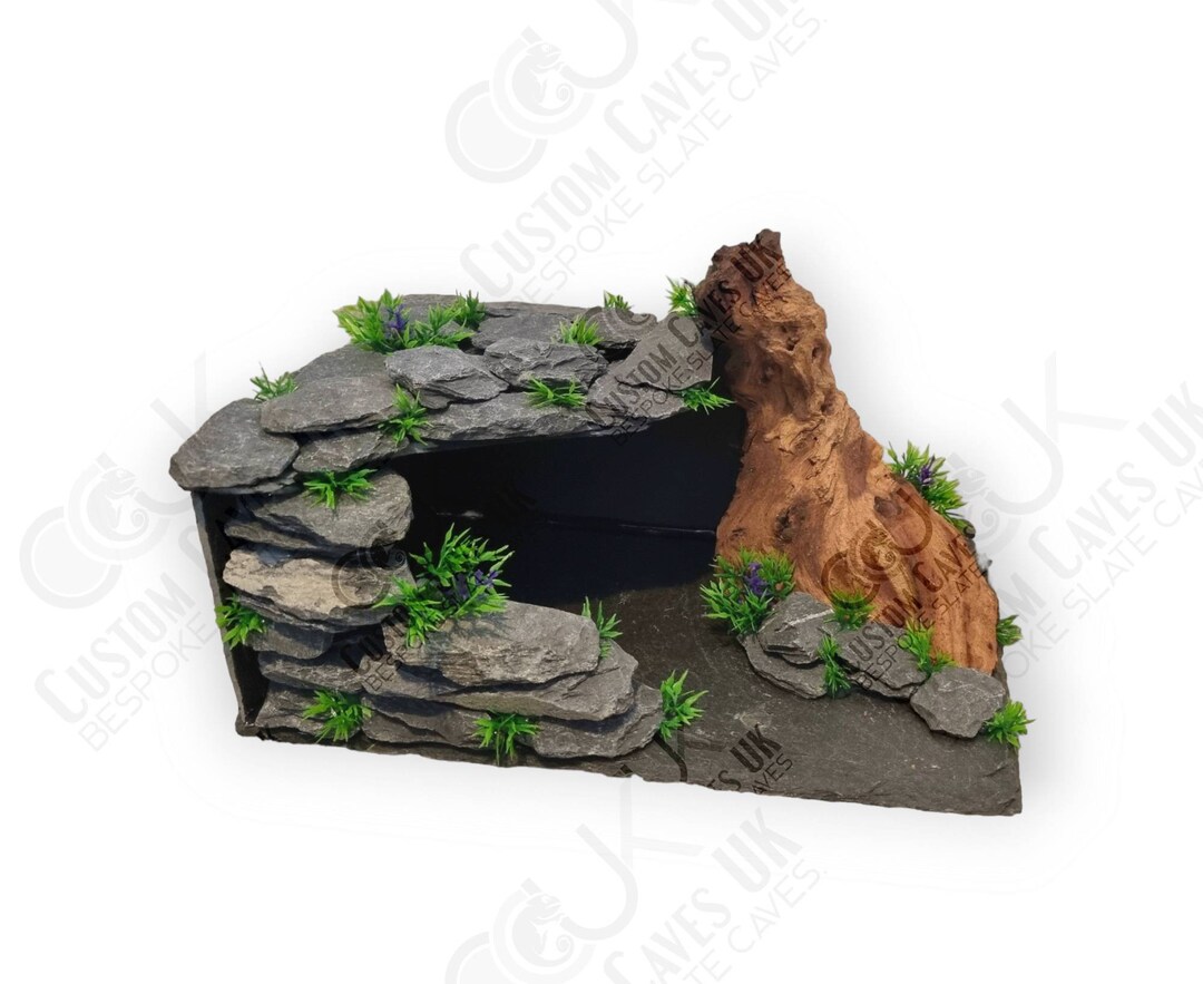 Bespoke Slate Cave With Mapoli Wood. Aquarium, Terrarium, Reptiles ...