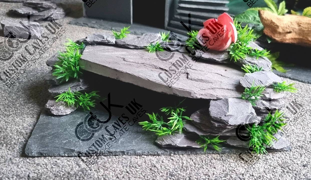 Leopard Gecko Slate Hide With Basking Platform Prefect for - Etsy UK