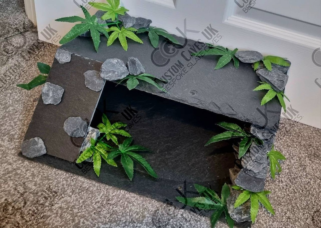 Bearded Dragon Natural Slate Hide With Basking Spot Prefect for Basking ...