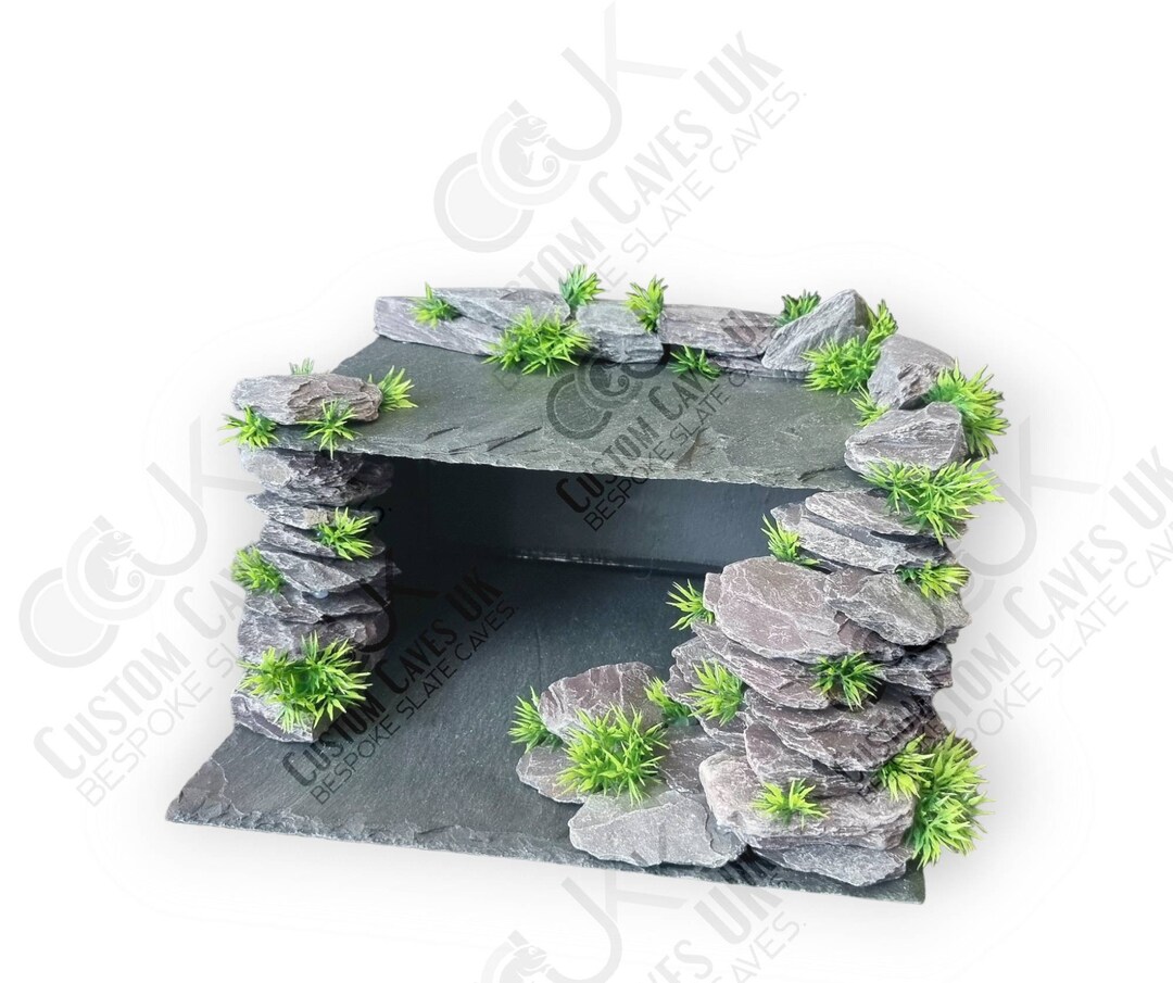 Beautiful Slate Hide, Reptile, Basking Spot, Bearded Dragon, Lizards ...