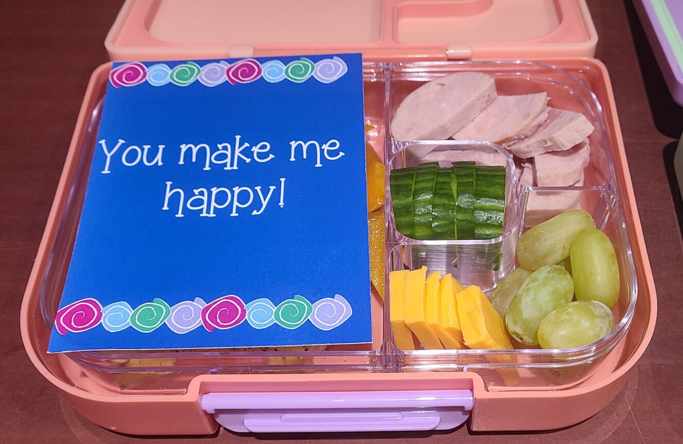 Lunchbox Notes for Kids, Printable Lunch Box Notes, Positive ...