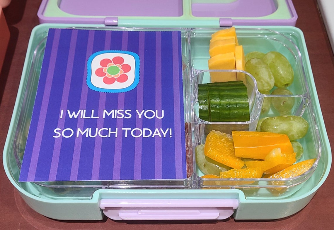 Lunchbox Notes for Kids, Printable Lunch Box Notes, Positive ...