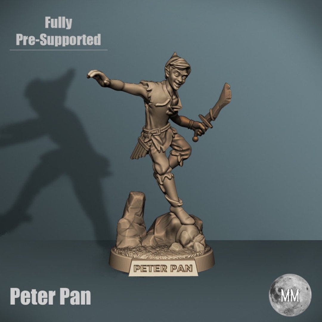 Peter Pan neverland Lost Boys Premium Gaming Miniature 3d Printed Role ...