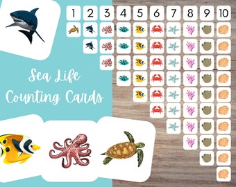 Preschool Math Cards - Etsy