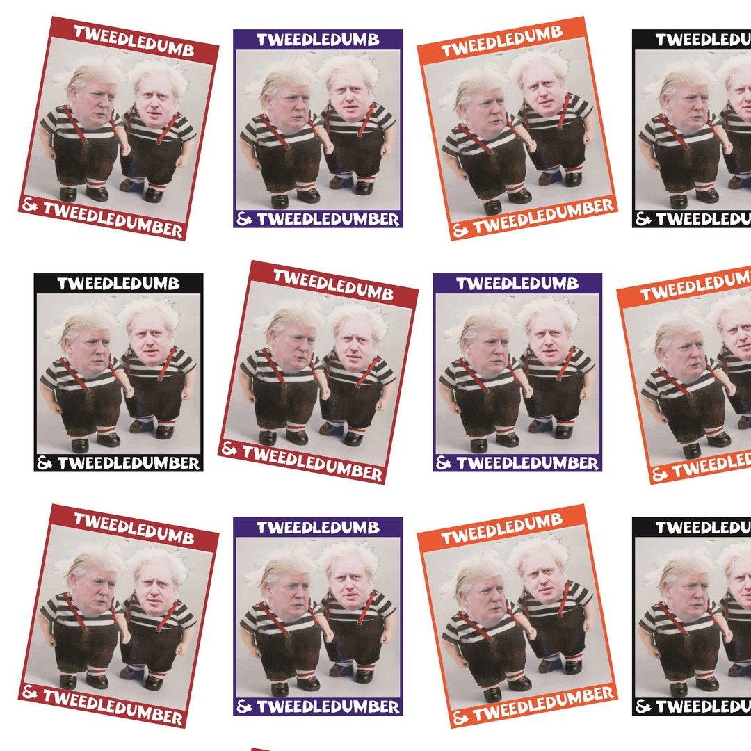 Novelty Donald Trump and Boris Johnson Gift Wrap Great Larger - Etsy
