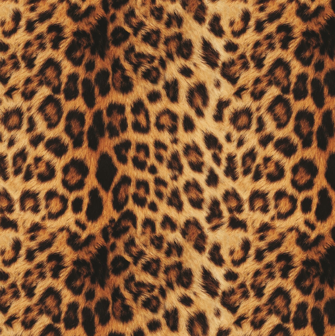 Leopard Print Traditional Animal Print Gift Wrap Great Larger - Etsy