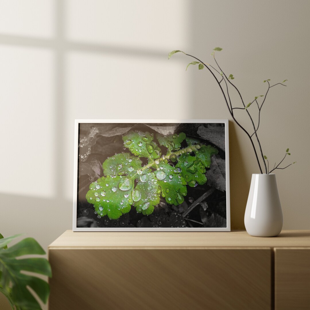 Digital Prints /green Leaf /photography Print - Etsy