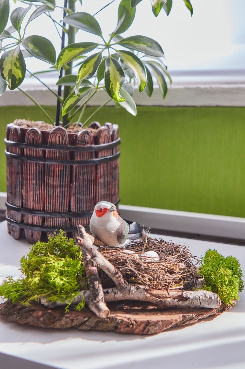 Real Natural Bird Nest, Spring Decor, Easter Decor, Natural Nest, Bird ...