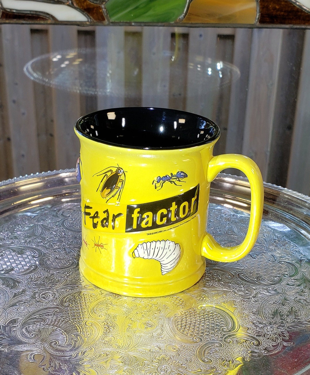 Vintage Fear Factor Mug: 3D Insect TV Show Collectible - Etsy