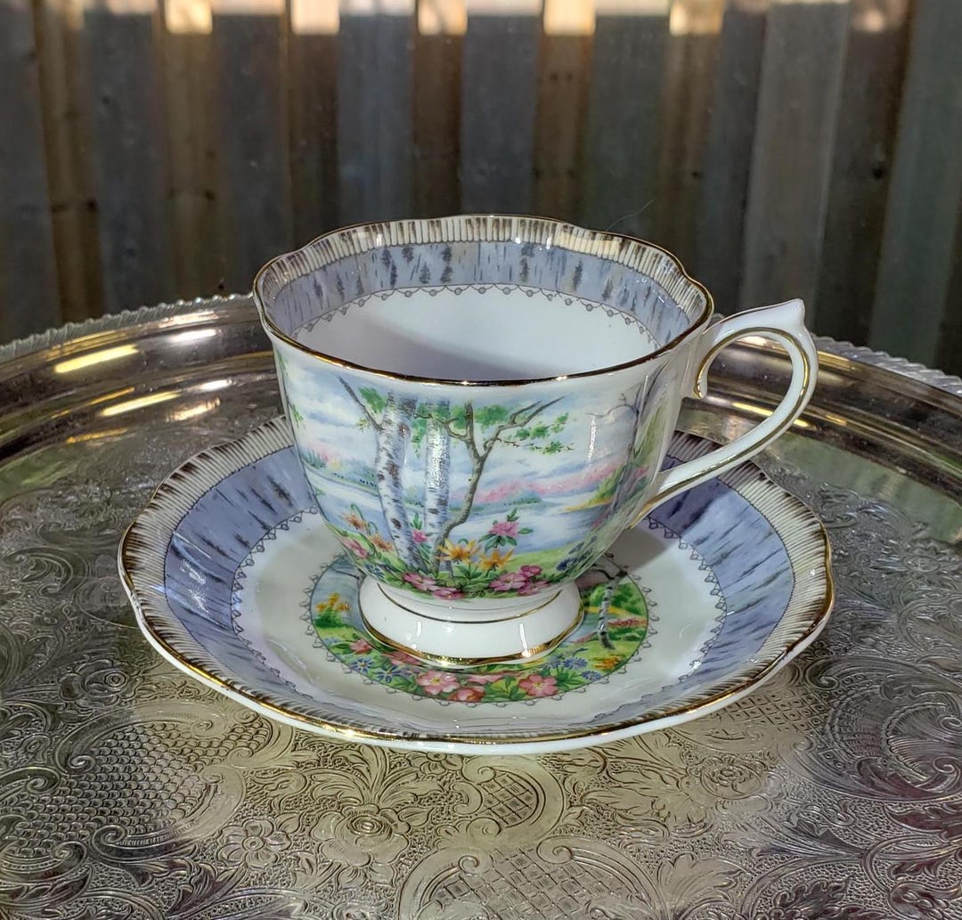 Vintage Royal Albert Silver Birch Teacup and Saucer: 1940s English ...