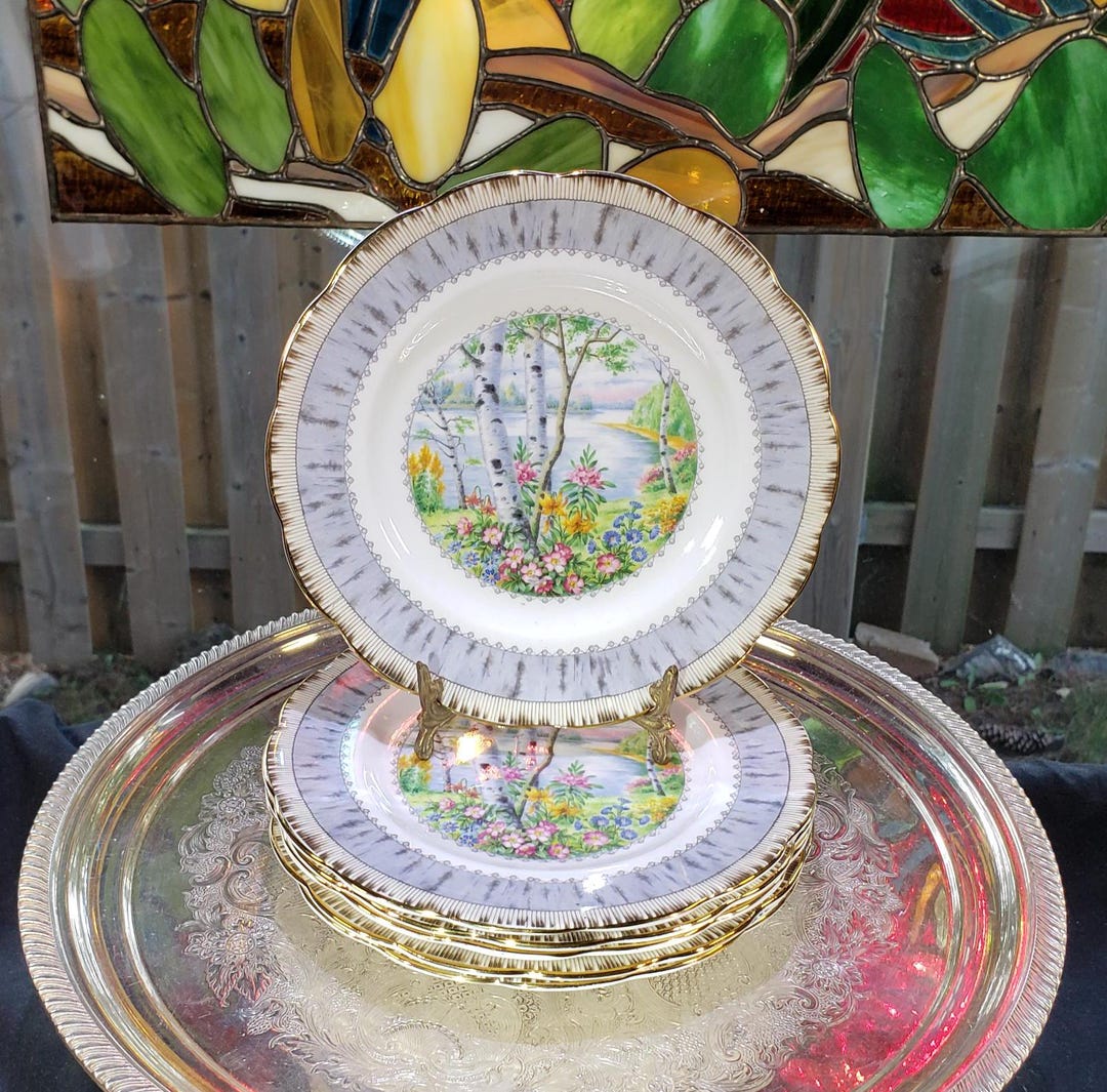 Vintage Royal Albert Silver Birch Plates: English China Set of 6 - Etsy