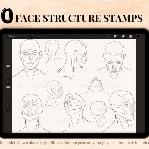 30 Face Structure Portrait Stamps / Stamp Brushes for - Etsy