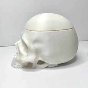 Skull Dice Box - 3D Printed Decorative Case - Etsy