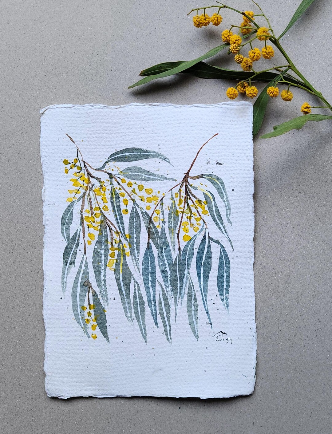 Watercolour Australian Wattle Leaves Art No 2, Original Abstract Wattle ...
