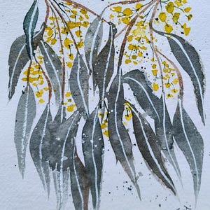 Watercolour Australian Wattle Leaves Art No 1, Original Abstract Wattle ...
