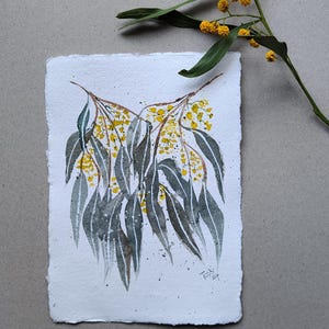 Watercolour Australian Wattle Leaves Art No 1, Original Abstract Wattle ...