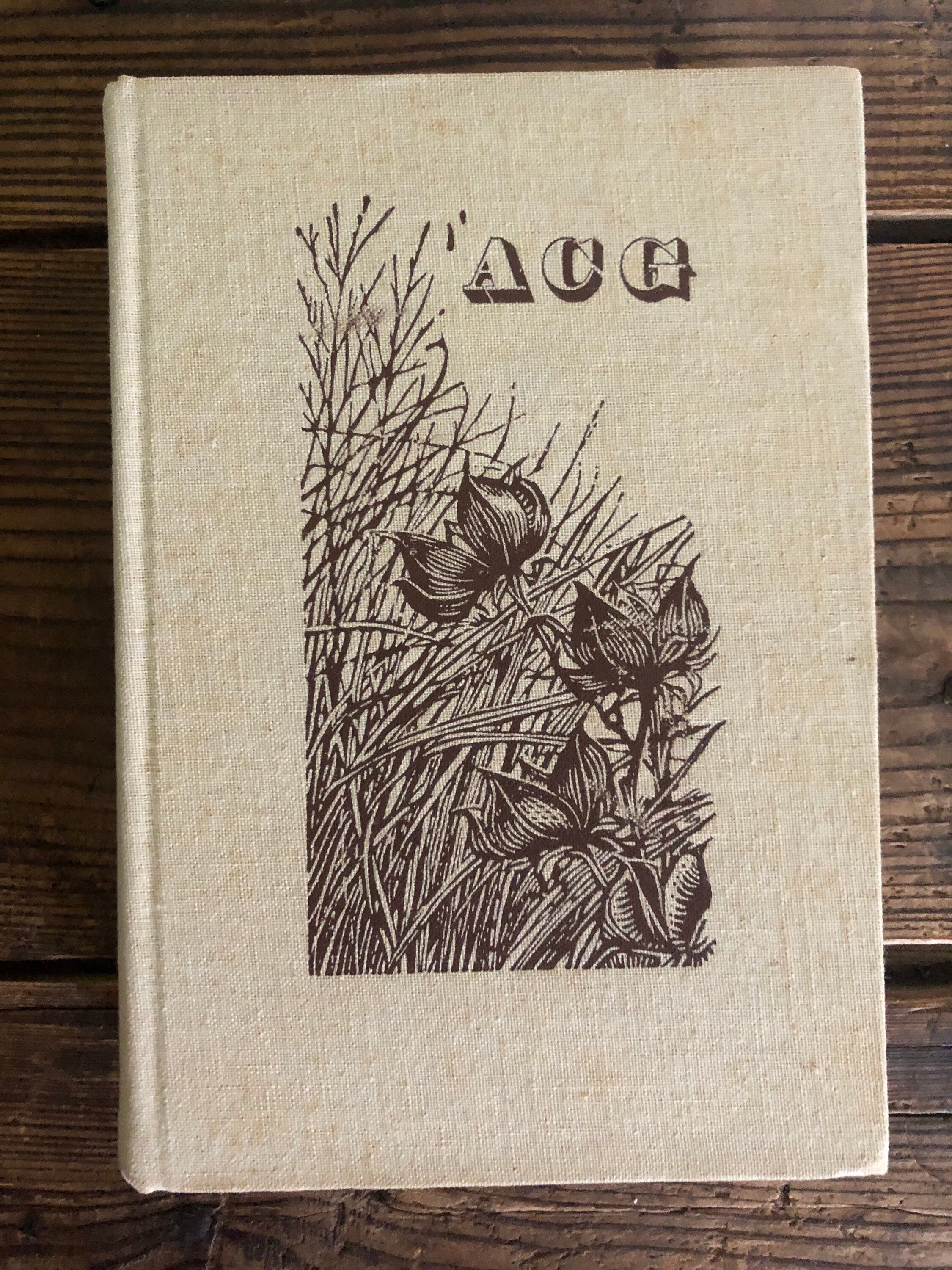 1969 A Personal Country by A. C. Greene SIGNED First Edition Book - Etsy