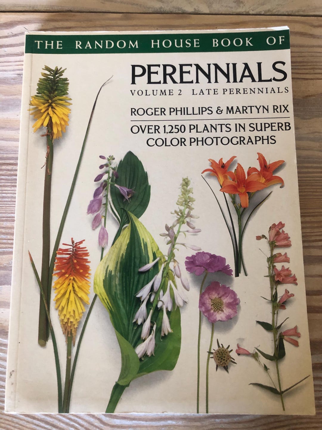 Perennials Book: Volume 2 Late Perennials by Phillips & Rix - Etsy