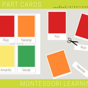 SPANISH Minimal Color Flashcards | Printable | Montessori | Preschool ...