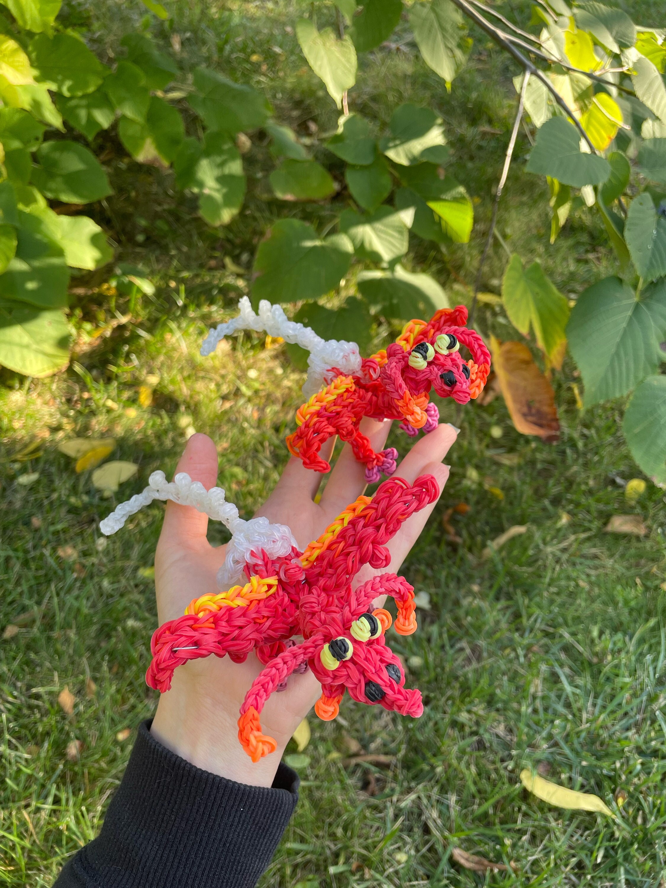 How To Train Your Dragon Changewing Wallpaper