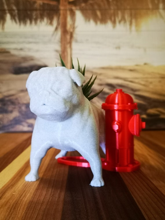 Gardener Pug Pug Succulent Cactus Pug Dog Gift Woman - Etsy