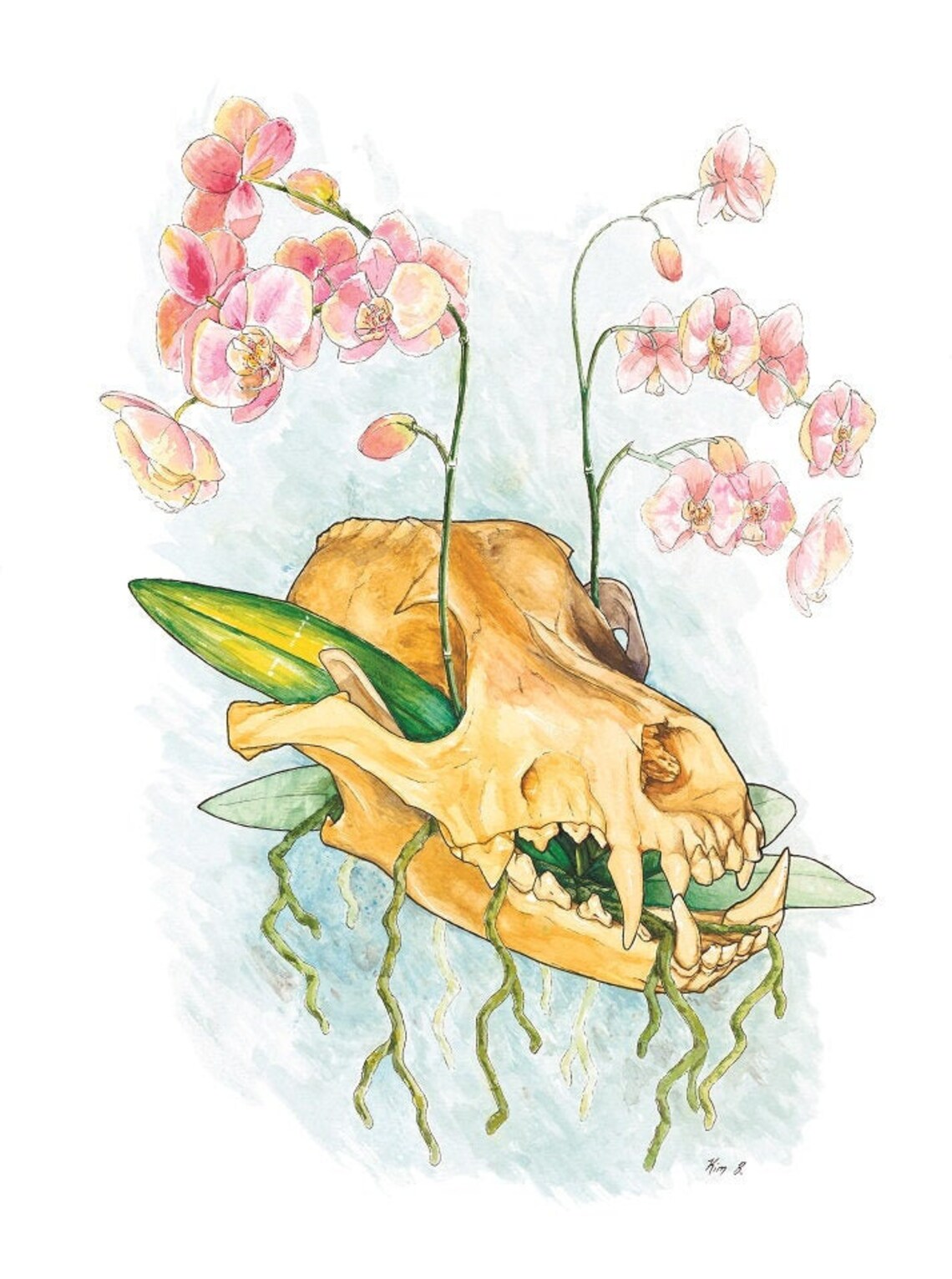 Flora & Fauna I 11 X 16 Watercolor Print - Etsy