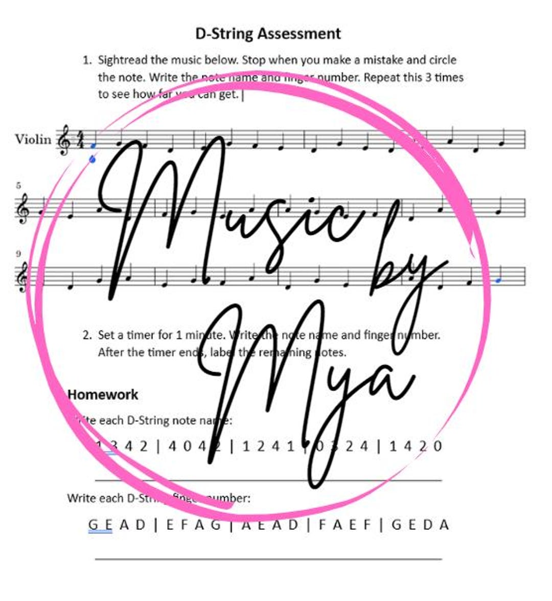 D-string Assessment Violin - Etsy