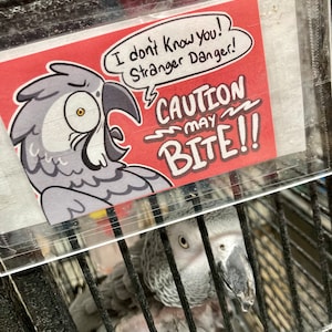 Digital Print Files | Sassy Parrot Macaw African Grey Warning I Bite ...