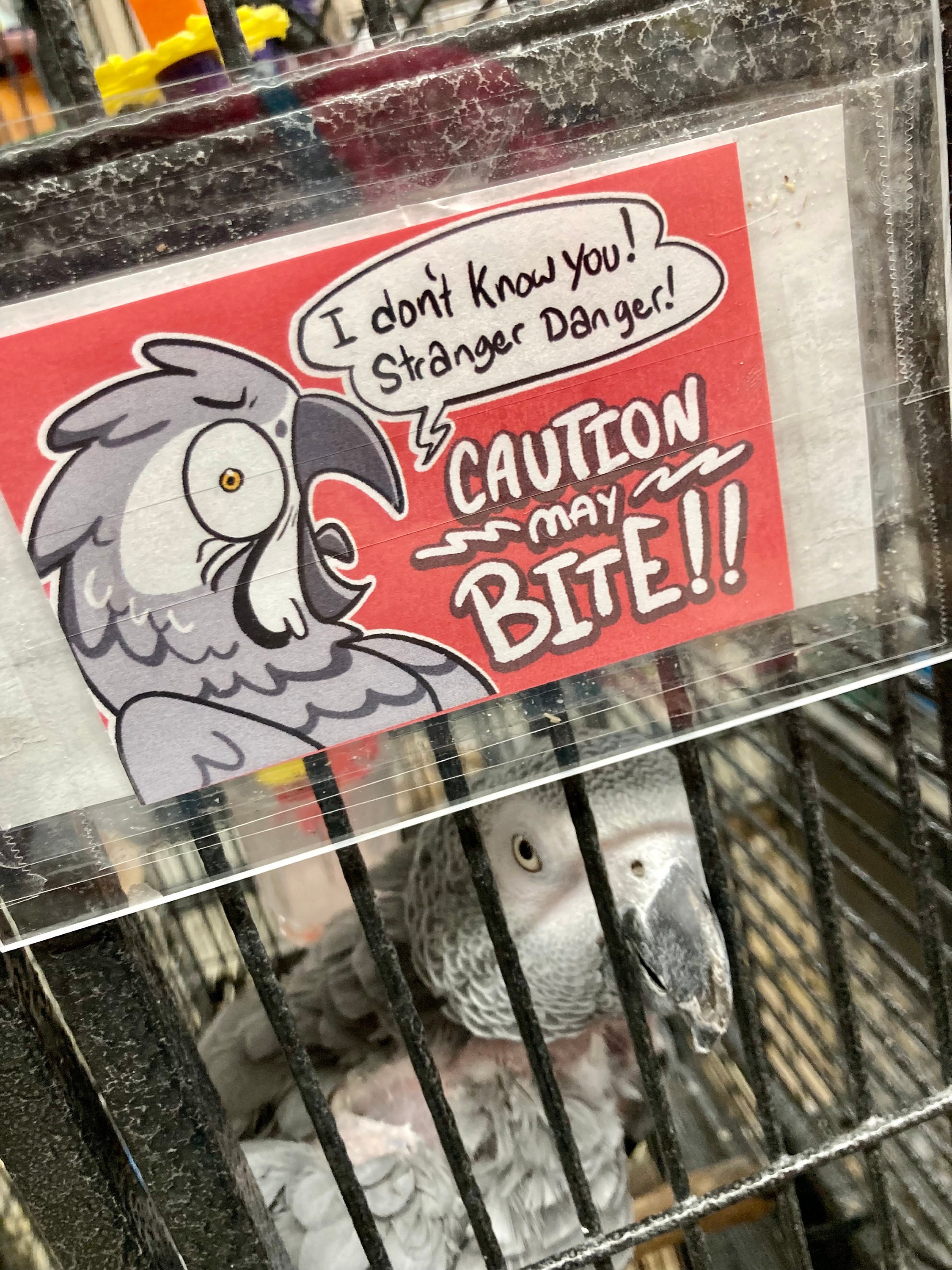 Digital Print Files | Sassy Parrot Macaw African Grey Warning I Bite ...