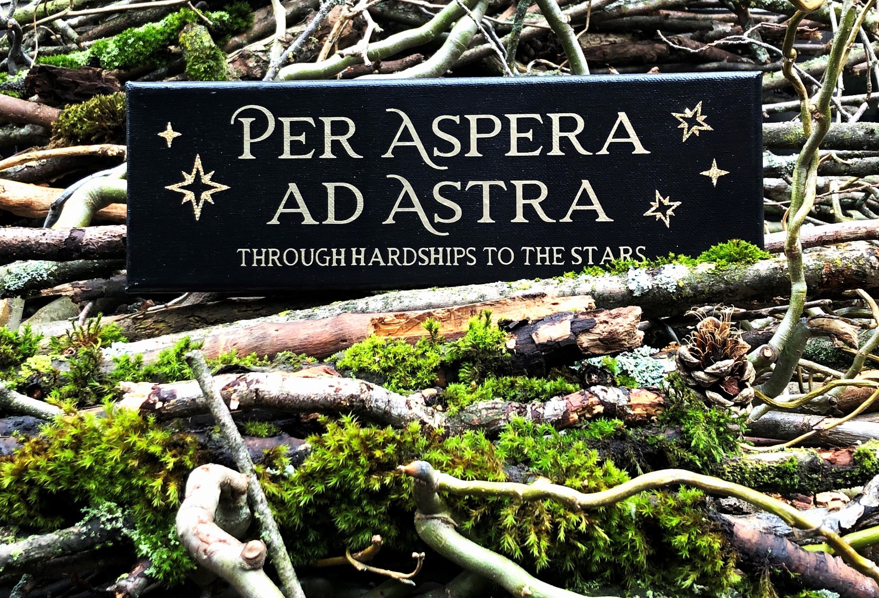 Per Aspera Ad Astra Through Hardships to the Stars Pierce Brown Red ...