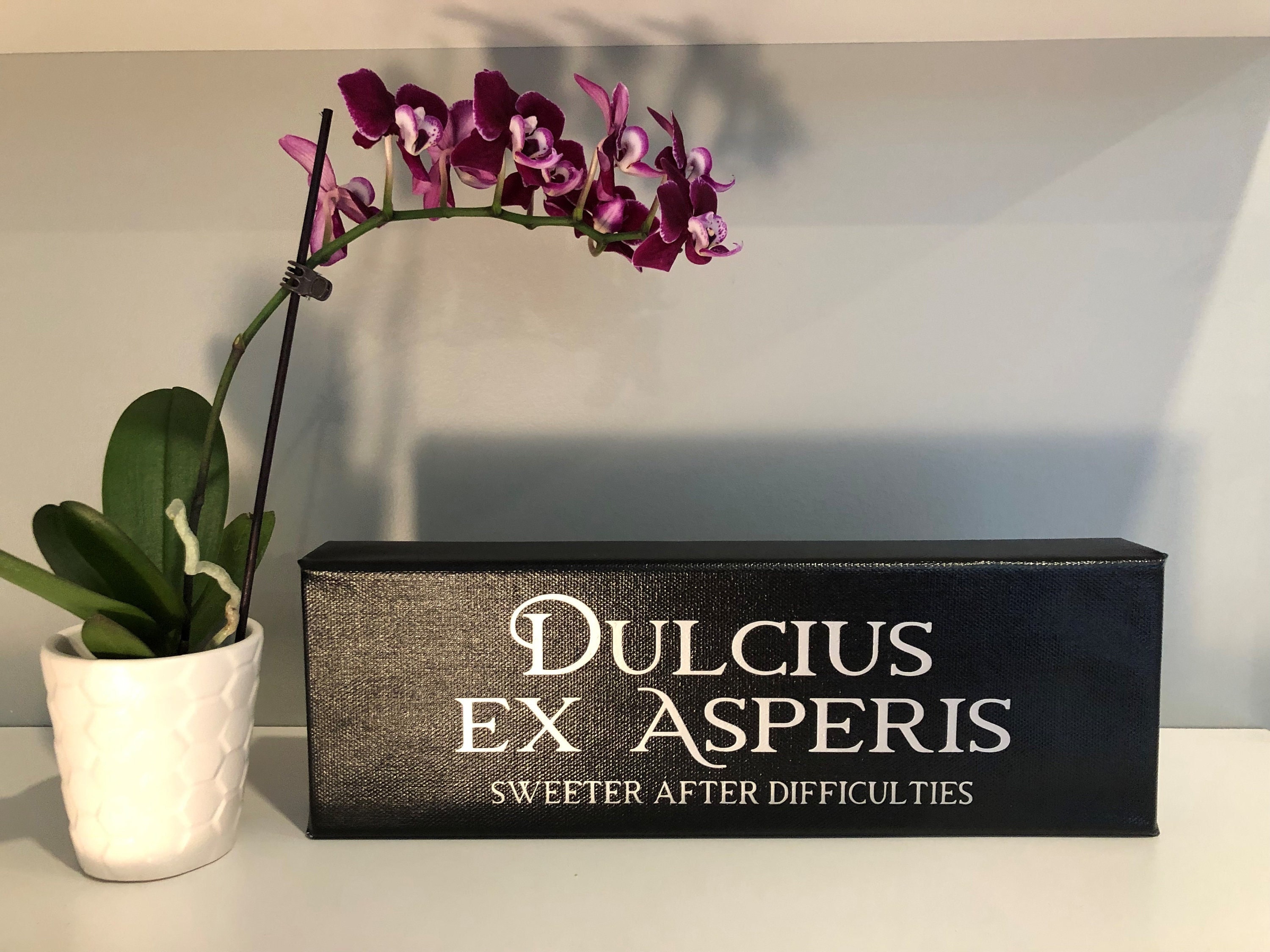 Dulcius Ex Asperis Sweeter After Difficulties the Lost City Latin Quote ...