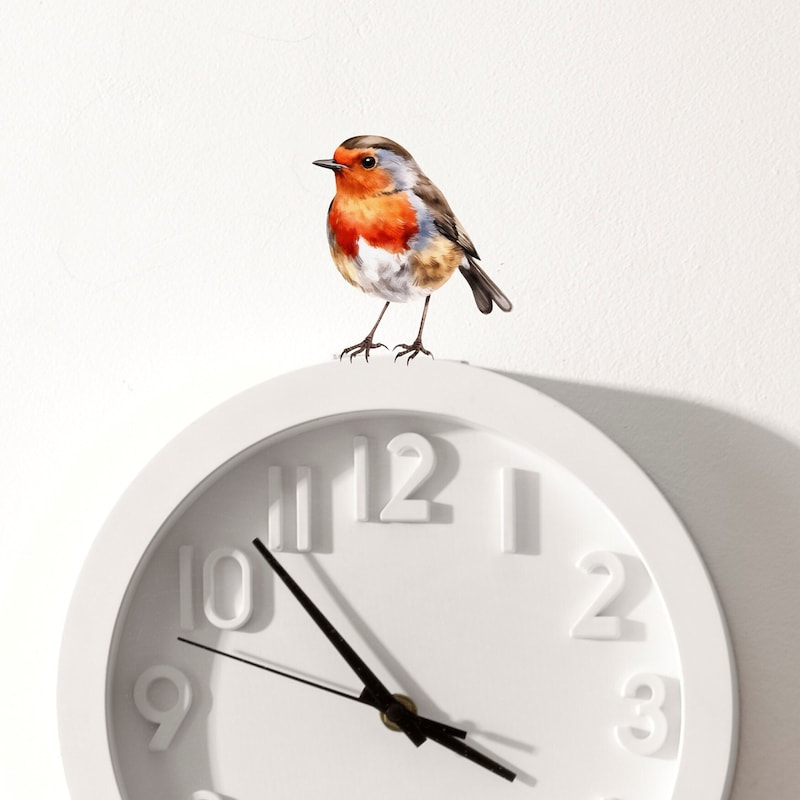 Robin Decal - Etsy