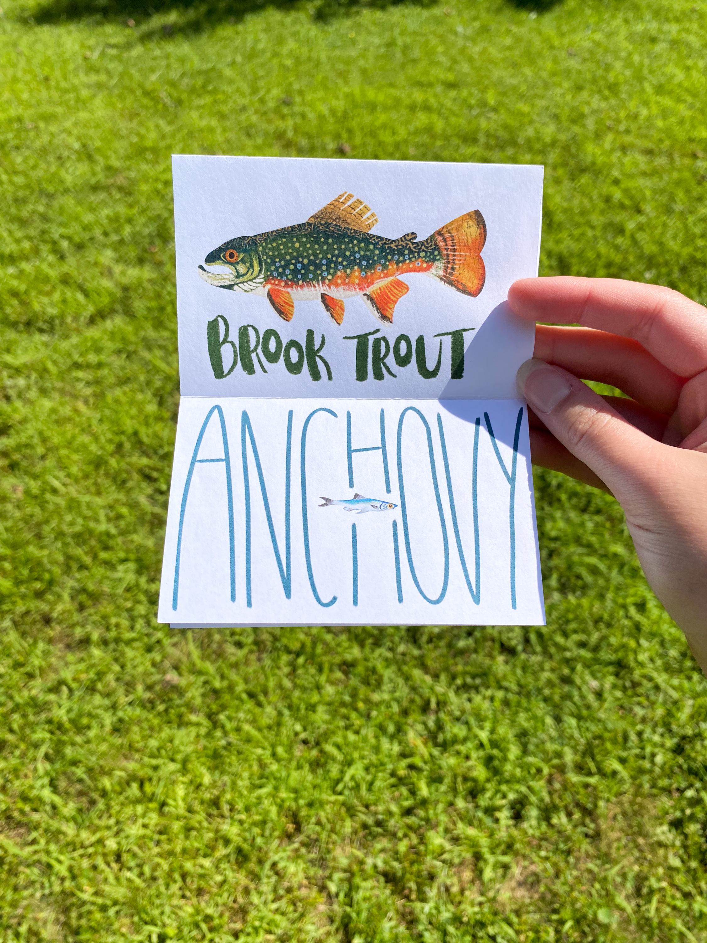 TYPES OF Zines - Three Mini Series (individual & Bundle) | Egg, Fish ...